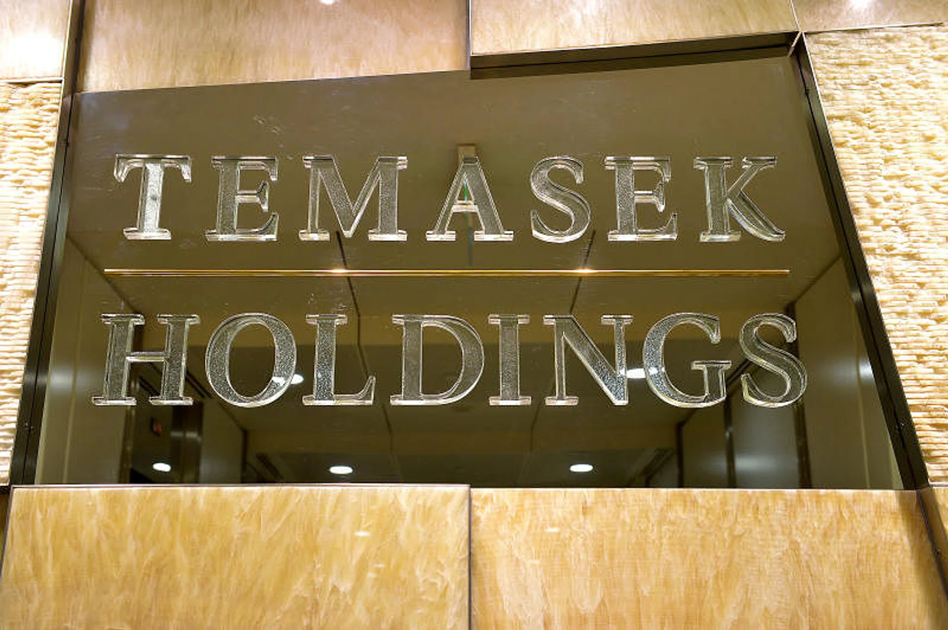 Temasek to set up asset management group Seviora with S$75b AUM - The ...