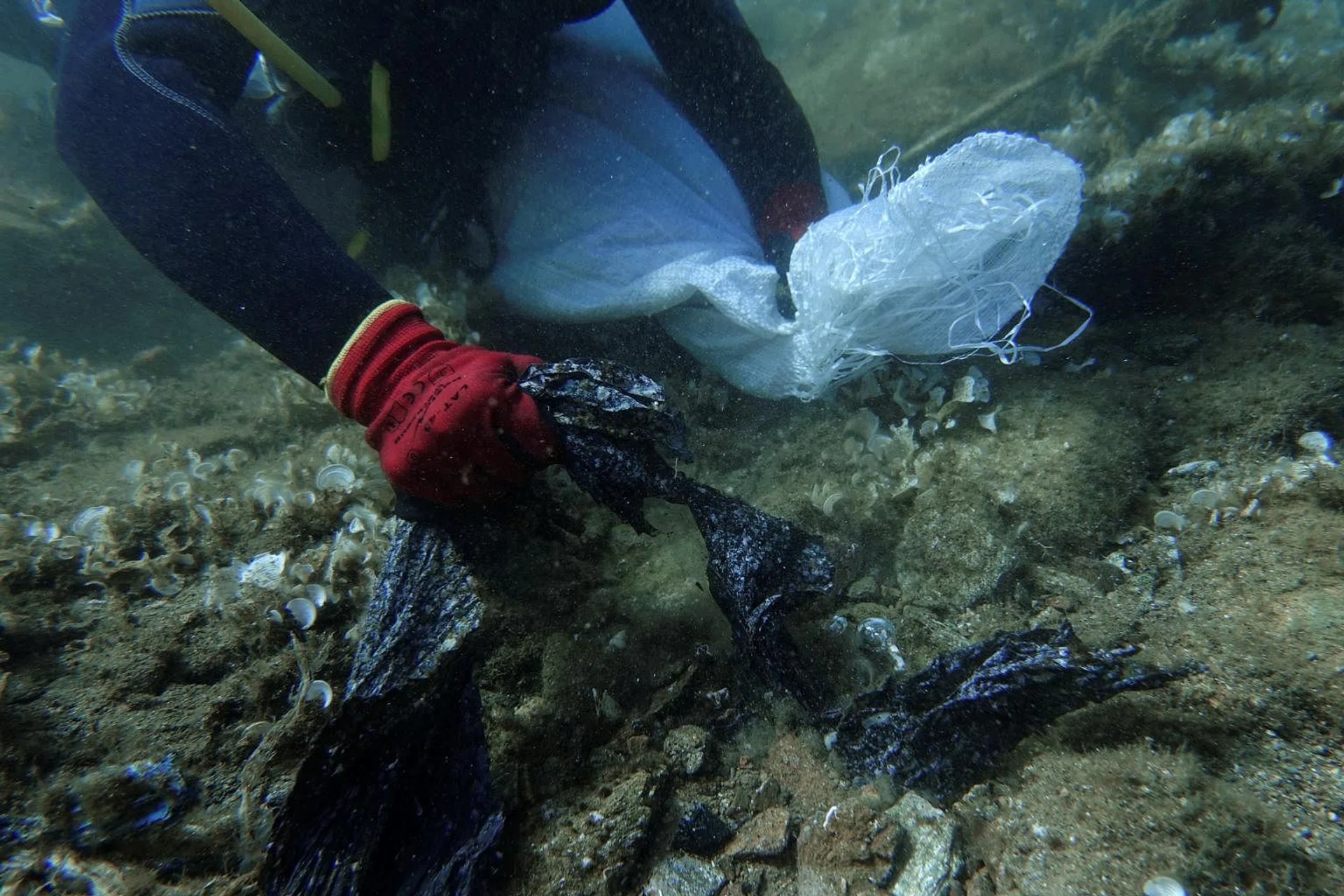 Greece fights for its beaches and gets tough on plastic pollution - The ...