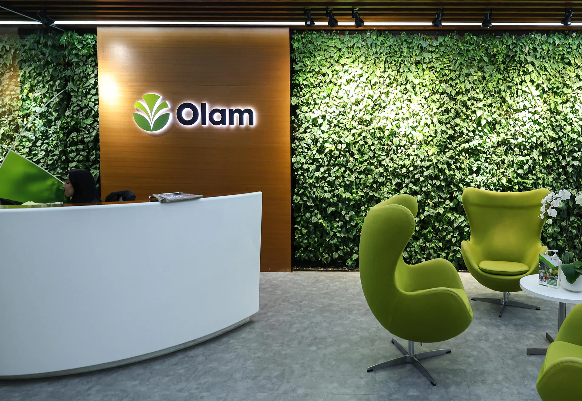 Olam Group's food ingredients unit bags US$1.8 billion sustainability ...