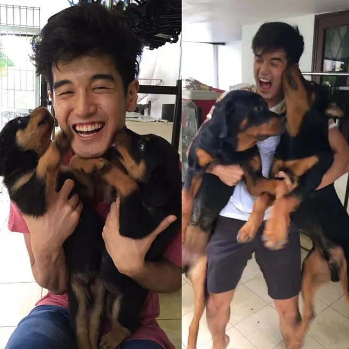 All The Times Nathan Hartono Nailed The Perfect Pet Selfie | Harper's ...