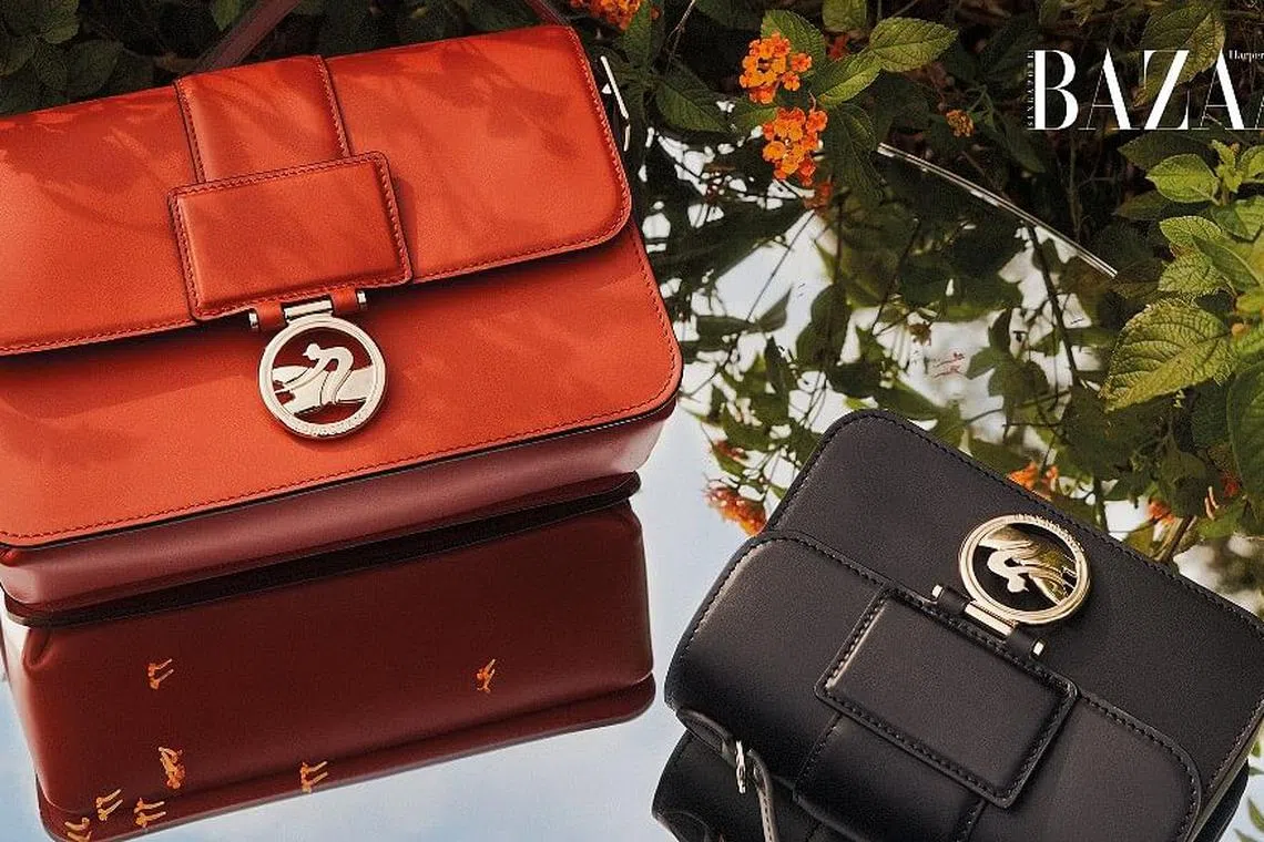 Longchamp's Box-Trot Bag Is The Modern Woman's Answer To Quiet Luxury ...