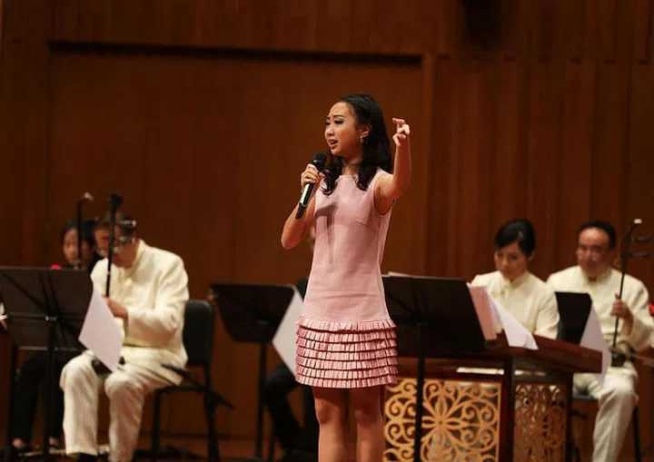 Art Against The Odds: Talking Passion And Preserving Teochew Opera With ...