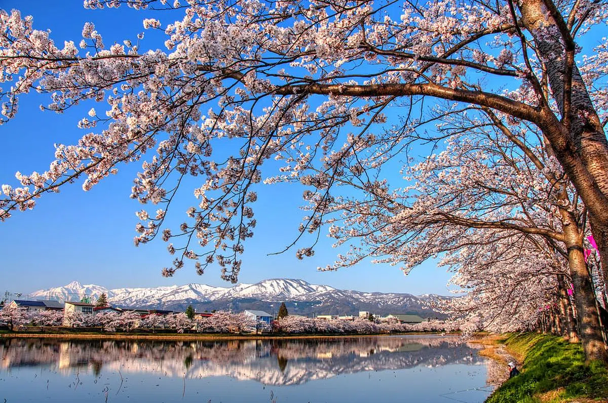 12 Must-Visit Places In Japan Outside Of Tokyo | Harper's Bazaar Singapore