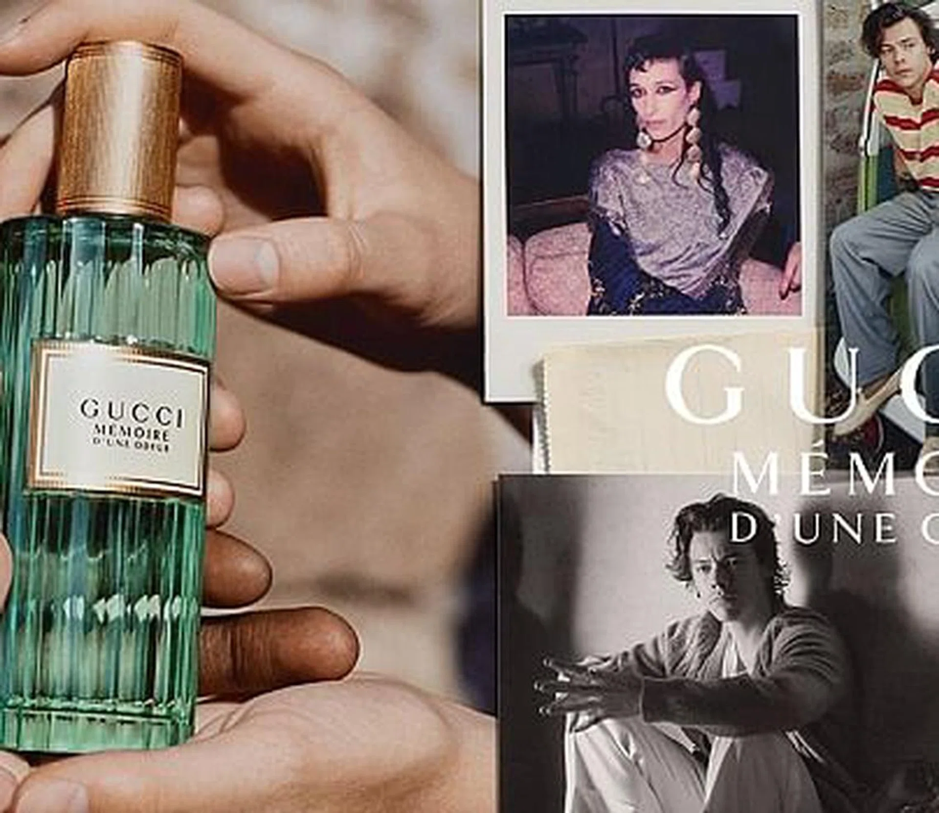 Gucci Memoire Archives | Harper's Bazaar Singapore